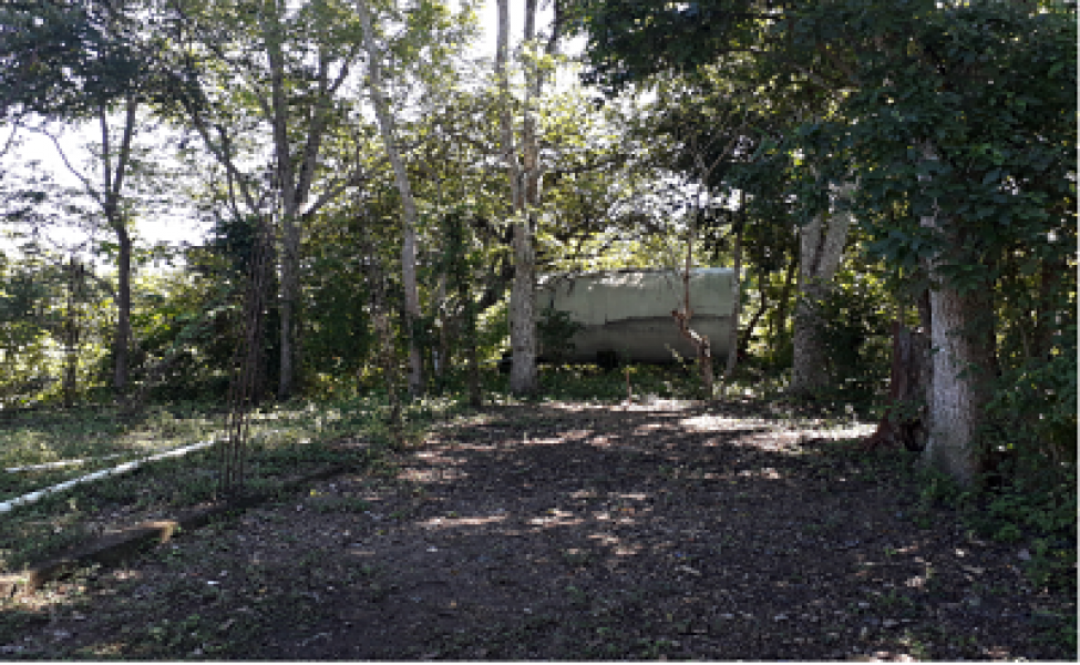 Propiedad / Banco de Occidente, S.A.