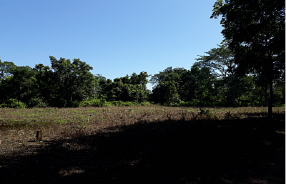 Propiedad / Banco de Occidente, S.A.